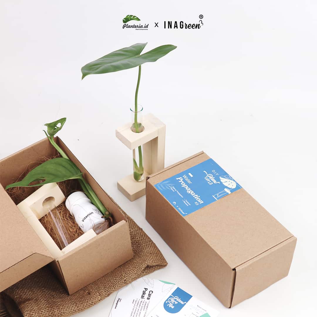 Hampers & Souvenir – Store Planteria ID